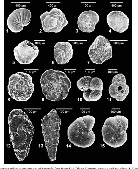 Figure 25 From Coastal Evolution Of Southern California As Interpreted