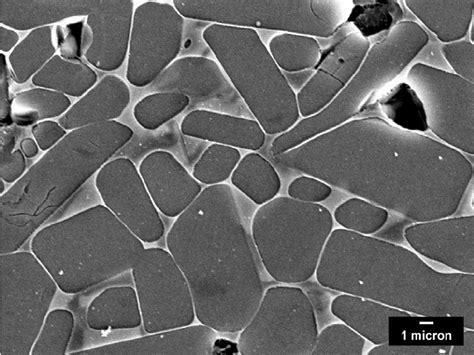 Microstructure Of The Saint Gobain Liquid Phase Sintered Hexoloy Sa Download Scientific Diagram