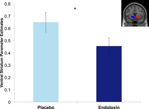 Sex Differences In The Relationship Between Inflammation And Reward Sensitivity A Randomized