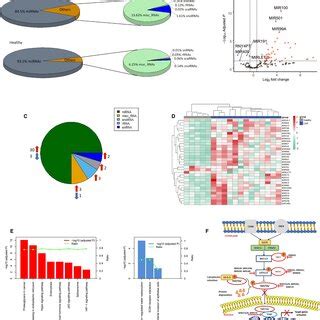 Landscape Of Small Noncoding RNA Species In Patients With Sepsis Download Scientific Diagram