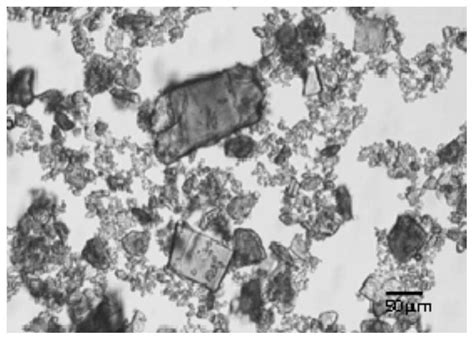 Clarithromycin Spherical Crystal As Well As Preparation Method And