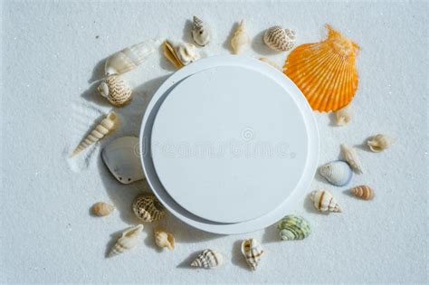 Shell Shape Pedestal Product Background Product Display With Podium Seashell And Shadow Ideal