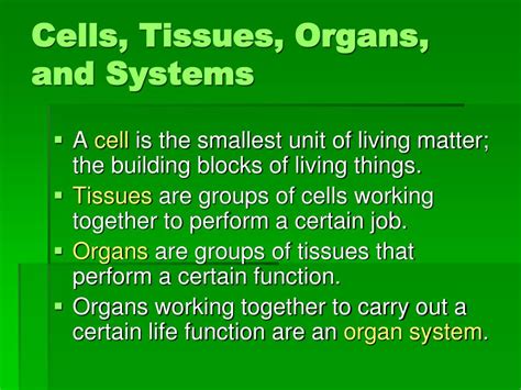Ppt Cells Tissues Organs And Systems Powerpoint Ppt Cells Tissues Organs And Systems Powerpoint