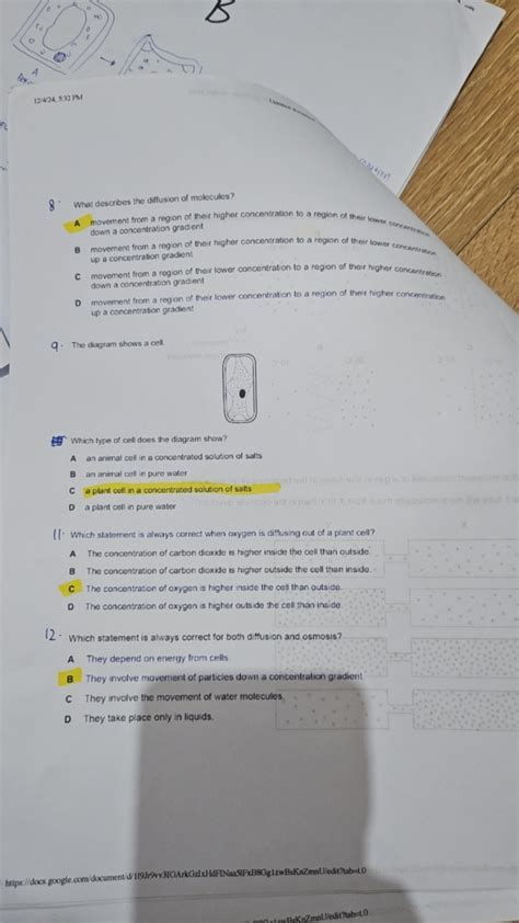 12424 532pm8 What Describes The Diffusion Of Moleculesb Movement Fro