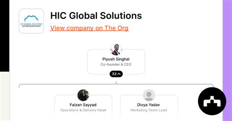 hic global solutions the org