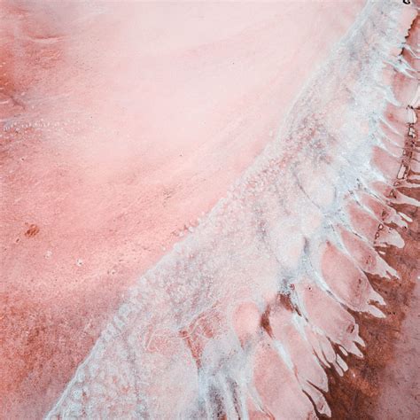 Remiges Milieu Photos