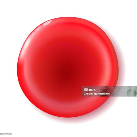 red shiny circle button for holiday and for internet or your business