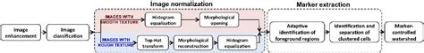 Figure From An Automated Approach To The Segmentation Of HEp Cells For The Indirect