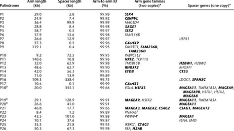 palindromes on the human x chromosome download scientific diagram