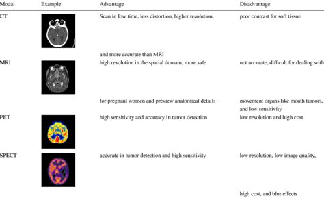Multimodal Medical Image Examples 9 12 25 Download Scientific Diagram