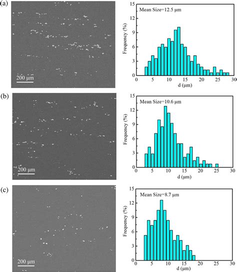 sem images and particle size distributions of heattreated 2219 alloy