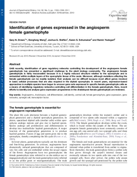 Pdf Identification Of Genes Expressed In The Angiosperm Female