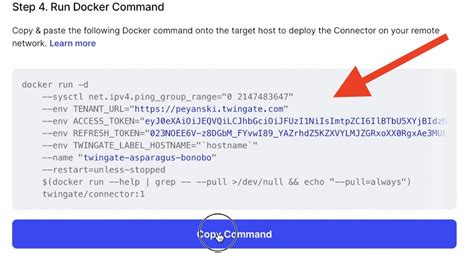 How To Install Home Assistant Container Remote Access Using Twingate