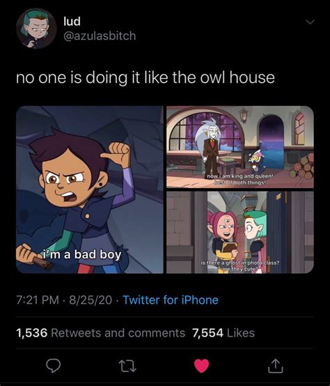 130 The Owl House Ideas Owl House Owl Amity
