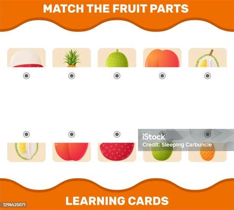 일치하는 만화 과일 부품 일치하는 게임 사전 쇼올 년 어린이와 유아를위한 교육 게임 0명에 대한 스톡 벡터 아트 및 기타 이미지