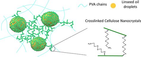 Self Healing Composite Coating Fabricated With A Cystamine Cross Linked Cellulose Nanocrystal