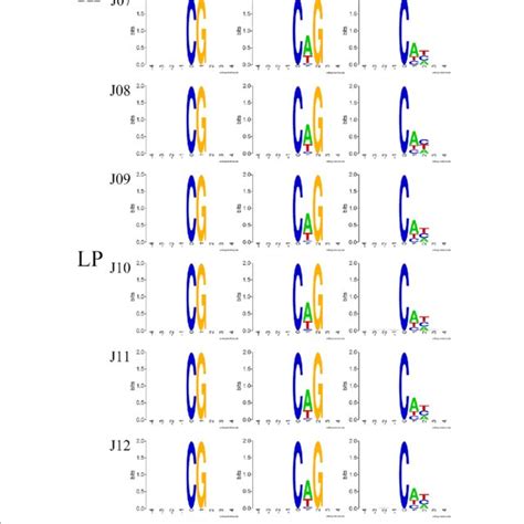 Whole Genome Dna Bisulfite Sequencing Data Download Table
