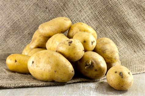 New GM potato gets U.S. approval - Grainews