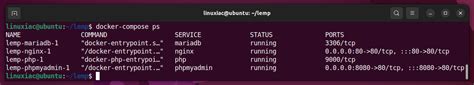 how to set up nginx mariadb and php with docker compose