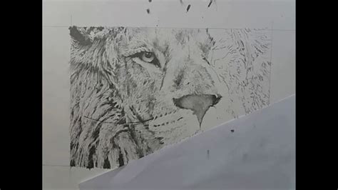 사자 그리기 Youtube
