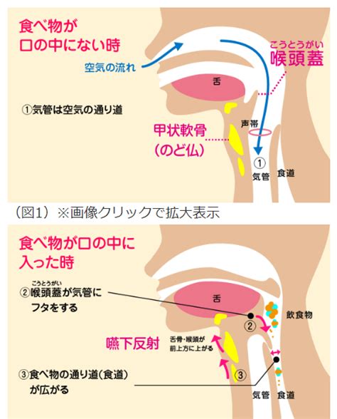 咽ないように｜居宅・訪問介護ハヌル