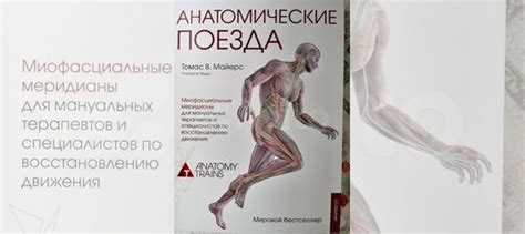 Томас Майерс: Анатомические поезда купить в Москве | Хобби и отдых | Авито