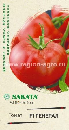 Cемена овощей оптом по выгодным ценам