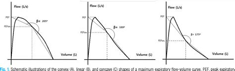 Figure 1 From Accuracy Of Maximal Expiratory Flow Volume Curve Curvilinearity And Fractional