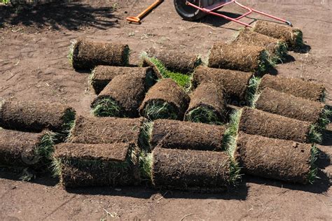 Rolls Of Lawn Grass On Sunny Day Country House And Landscape Design