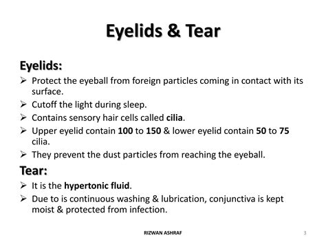 Structure And Function Of Eye Pptx Eye And Vision Conditions Diseases And Conditions