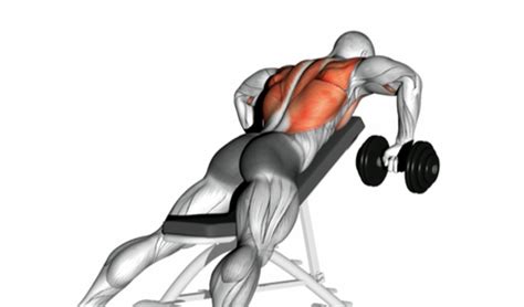 Chest Supported Dumbbell Row How To Tips And Mistakes Chest Supported Dumbbell Row How To Tips And Mistakes