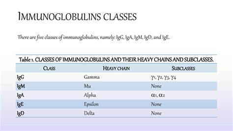 Immunoglobulins Structure Functions And Types Pptx