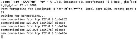 Connect To An Instance Without Internet Connection By Using The Port