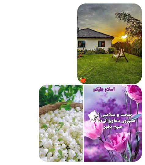 Shabbir Ahmed Posted On Linkedin