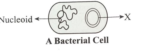 Tamil Solution Observe The Diagram And Answer The Question I Na