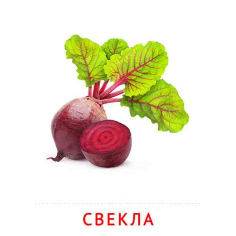 Карточки Домана на тему «Овощи и травы»