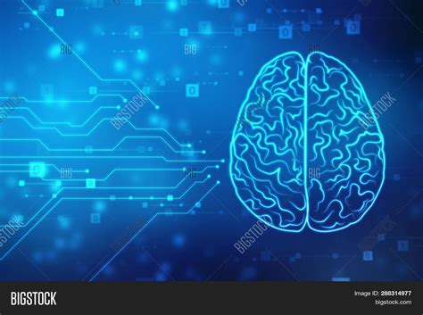 Human Brain 2d Image And Photo Free Trial Bigstock