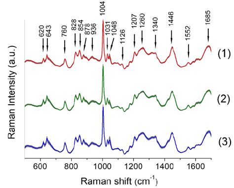The Mean Sers Spectra And Standard Deviations Of Serum Protein For Download Scientific Diagram