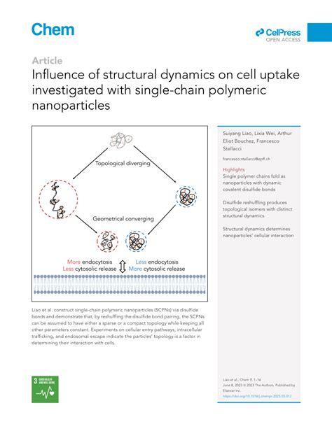 Pdf Influence Of Structural Dynamics On Cell Uptake Investigated With Single Chain Polymeric