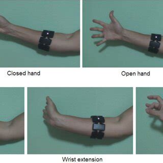 Our RNN Architectures For Hand Gesture Recognition Download Scientific Diagram