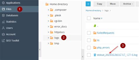 Plesk NET Core Enable Logging Conetix