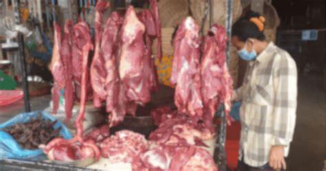 កម្ពុជា ឡាវ ហាមប្រាមជាបណ្ដោះអាសន្នពីការនាំចូលសត្វពាហនៈពីប្រទេសថៃ Khmerload Cambodia Latest News