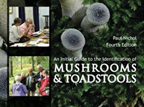 An Initial Guide To The Identification Of Mushrooms And Toadstools