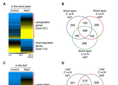 Expression Profiles Of Shoot Apex Specific Degs Specifically Expressed