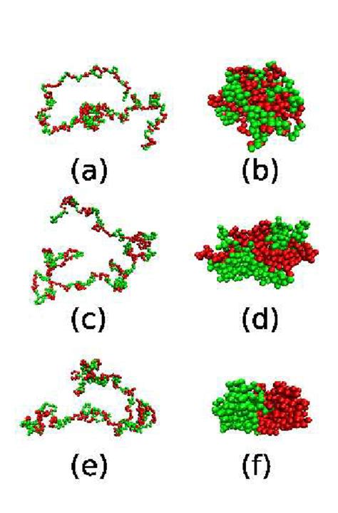 colour online snapshot pictures of different multiblock copolymers