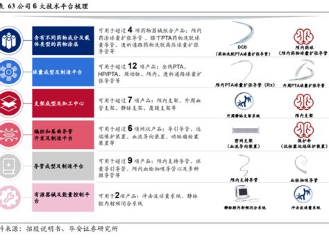 中国外周动脉疾病介入器械市场规模及预测（十亿元） 2024年05月 行业研究数据 小牛行研