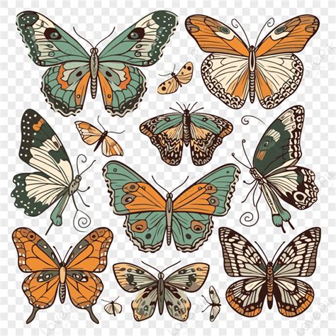 Gambar Kupu Kupu Clipart Kupu Kupu Kupu Kupu Dengan Berbagai Warna Dan