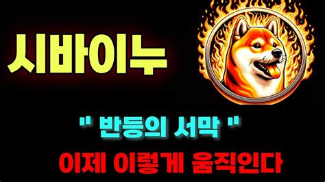 시바이누 코인 반등의 서막 이제 이렇게 움직입니다 Youtube
