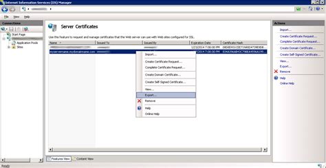 Solved Require TLS Encryption Option Greyed Out Of IIS SMTP Relay Outbound Security Interface