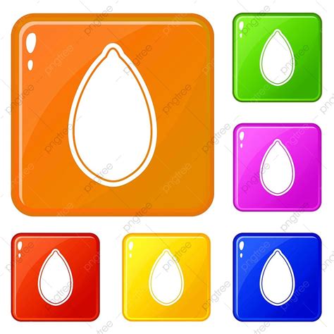 호박 씨앗 아이콘 흰색 배경에 고립 된 컬렉션 벡터 6 색을 설정 하얀 영양 호박 Png 일러스트 및 벡터 에 대한 무료 다운로드 Pngtree